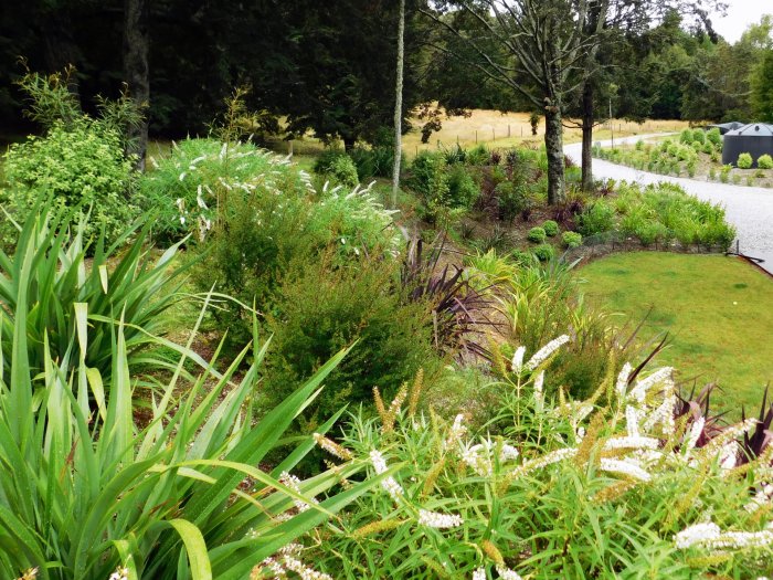 Incorporating Native Plants into Your Urban Garden