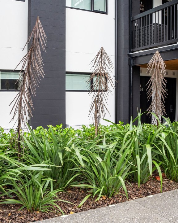 Incorporating Native Plants into Your Urban Garden