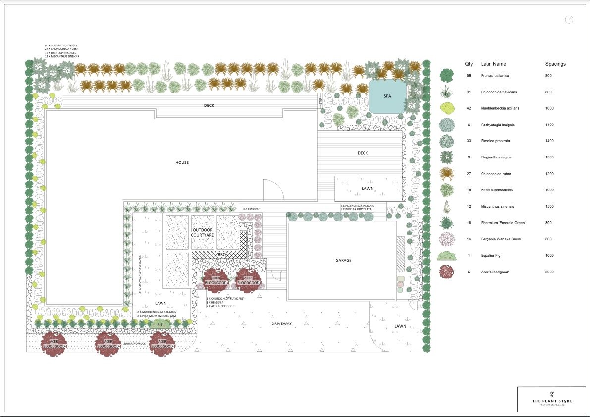 Refined Harmony: Blending Exotic and Native Plants for Contemporary A