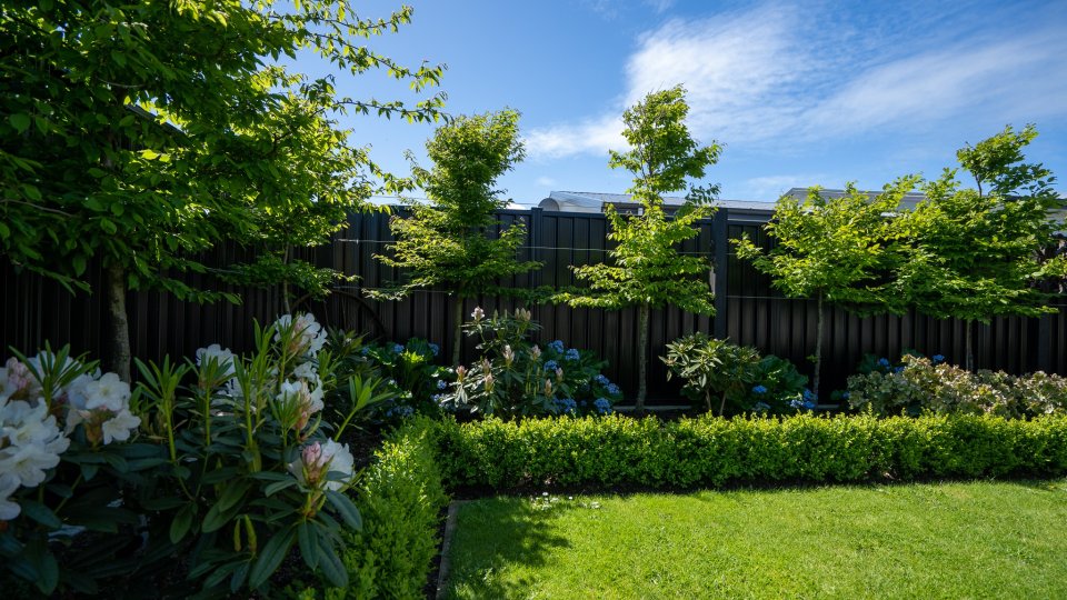 How Our Garden Design Process Works | Custom Gardens NZ | The Plant Store