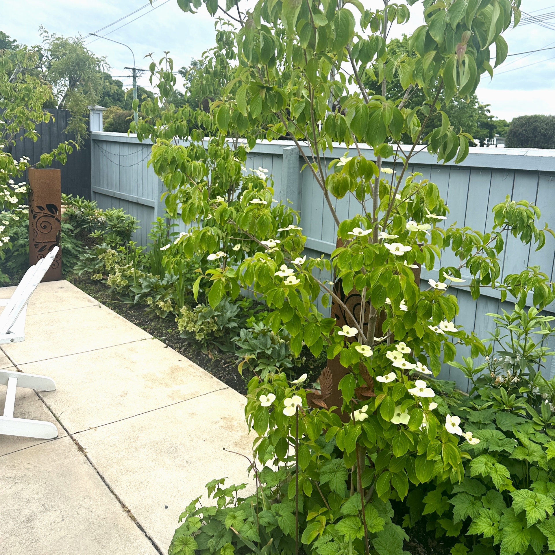 An Urban Garden Refresh