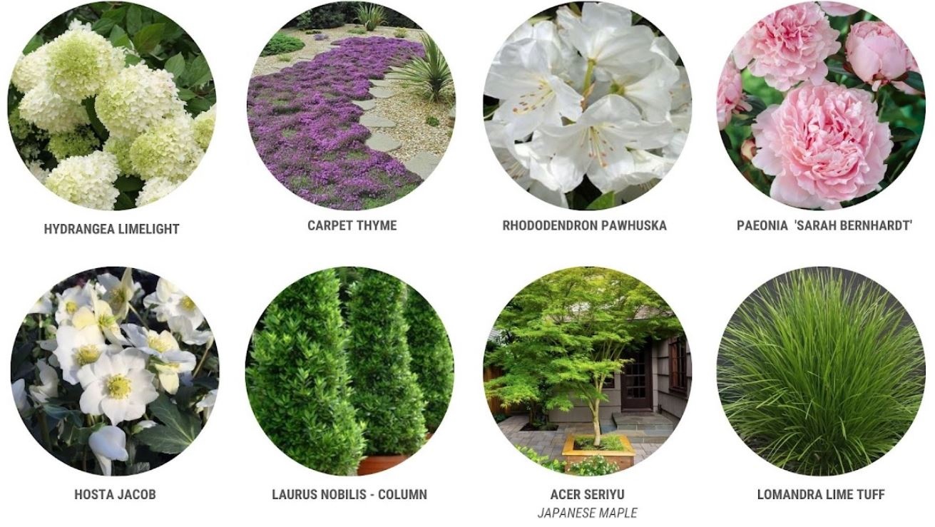 A Lush, Dynamic Garden with Year-Round Interest