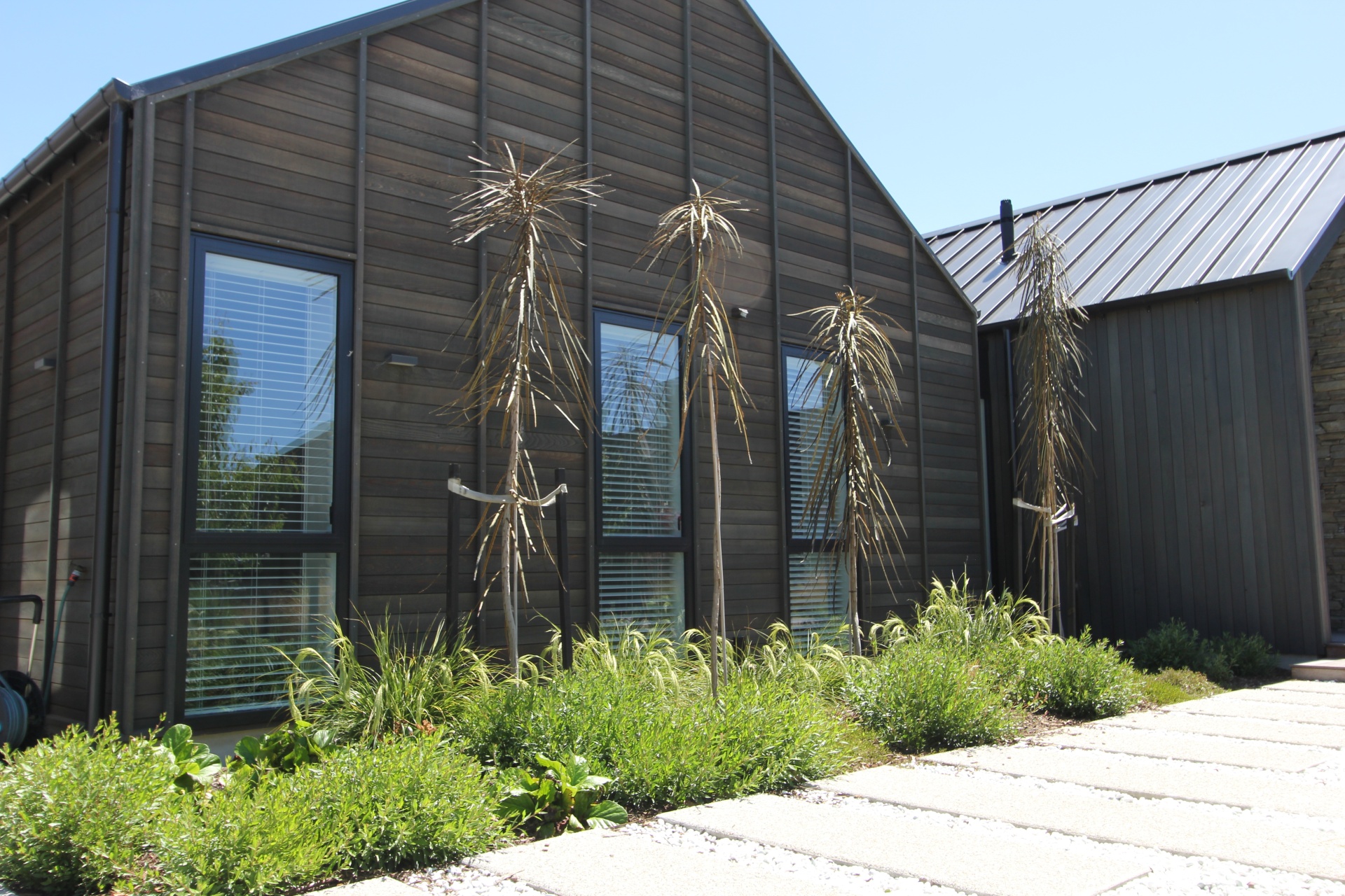 Using NZ Natives in Your Garden