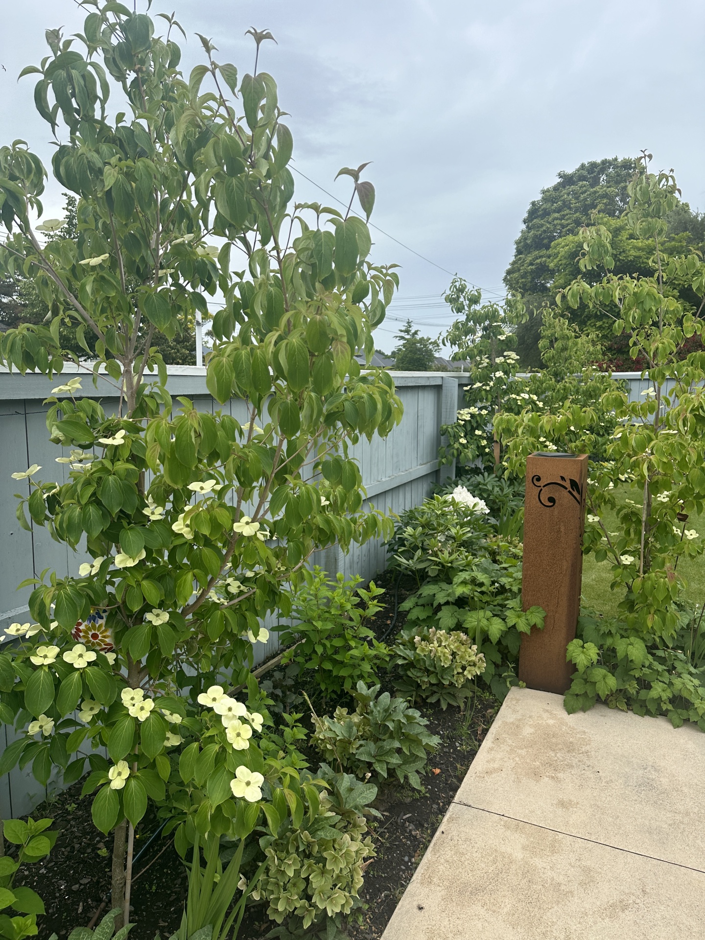 Garden Design NZ – Tailored Gardens Uniquely Yours | The Plant Store