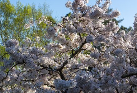 Spring Planting Guide: How to Set Your Garden Up for Success This Sea